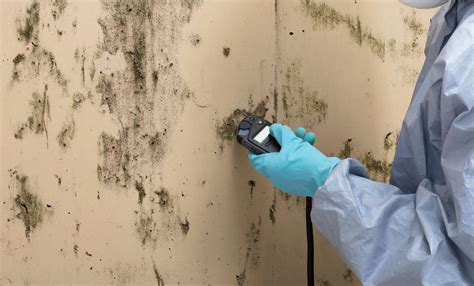 Asbestos Abatement Mr Mold Of Michigan