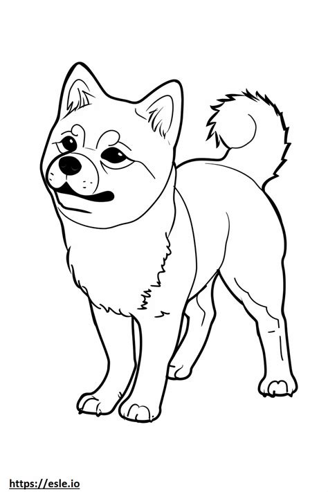 Akita Playing Coloring Page