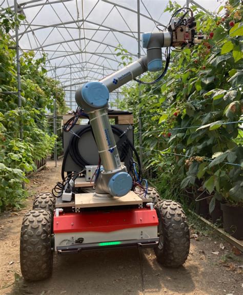 Raspberry Picking Robot Trained On Fake Fruit Globalspec