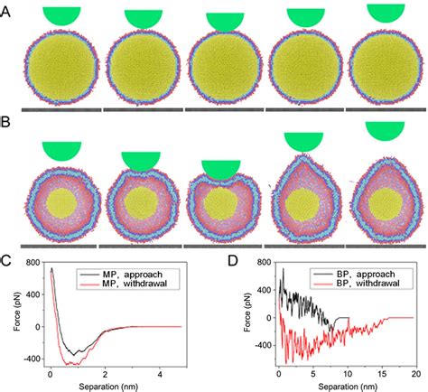Figure 3 From Microfluidic Synthesis Of Hybrid Nanoparticles With Controlled Lipid Layers