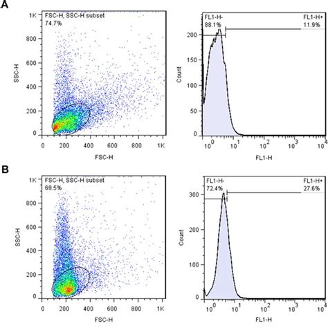Tunel Assay A Example Of A Sample With Low Level 119 Of