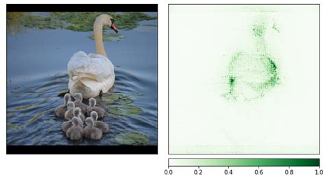 Introduction To Captum — A Model Interpretability Library For Pytorch By Pytorch Pytorch