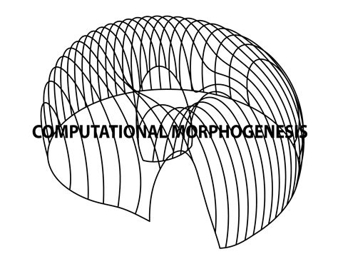Computational Morphogenesis Turin
