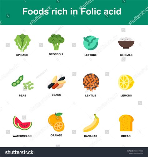 Folic Acid Foods List