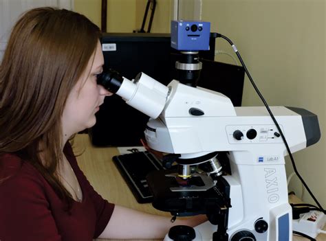 მცენარის ყვავილის მტვრის დათვლა Pollen Count ალერგოლოგიური პროგნოზი Vidal Ge