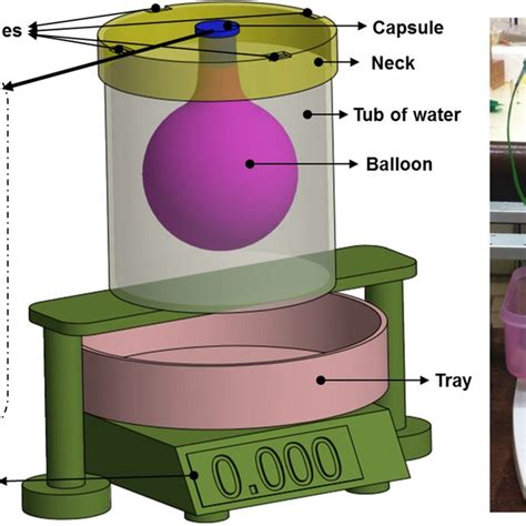 Acid Base Experimental Setup Download Scientific Diagram