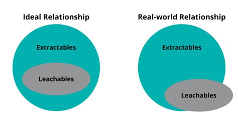 Insights Into The World Of Extractables And Leachables