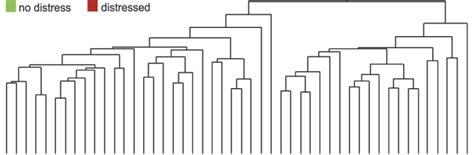 hierarchical dendrogram based on weighted unifrac distance unweighted