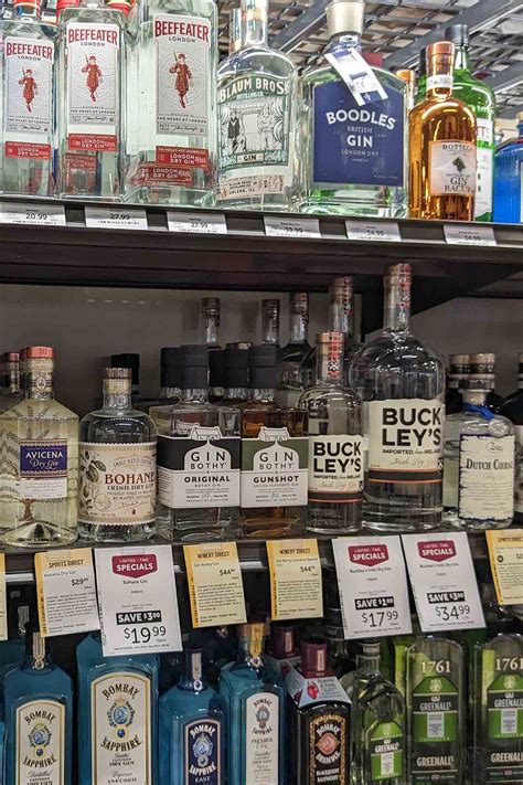 Types Of Gin Beginners Guide Homebody Eats
