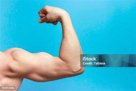큰 근육을 가진 남성 팔 클로즈업 후방보기 파란색 배경 테스토스테론에 대한 스톡 사진 및 기타 이미지 테스토스테론 개념 건강관리와 의술 Istock