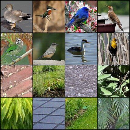 Example Pictures Of The Detection Dataset Download Scientific Diagram