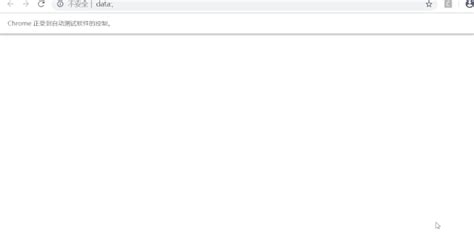 selenium 判断是否弹窗 selenium勾选框处理 csdn博客