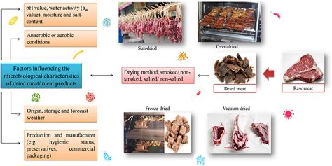 Drying Food By Means Of Solar Energy Ancient Process And Its Applications