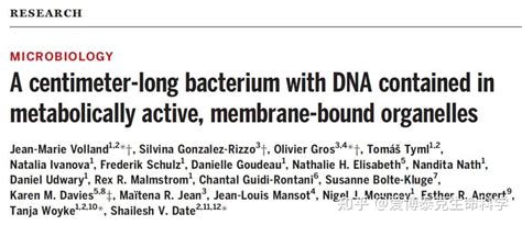 Science年度十大科学突破：云南大学胡凤益团队多年生水稻入选 知乎