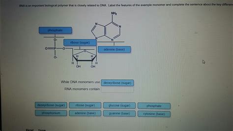 Solved Label The Features Of The Example Monomer And
