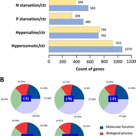 Intracellular Amino Acid Levels In Cells Exposed To Five Different Download Scientific Diagram