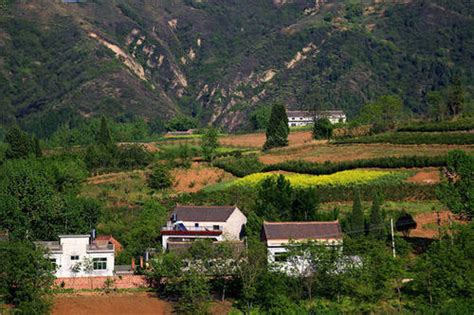 焦岱镇图册 360百科