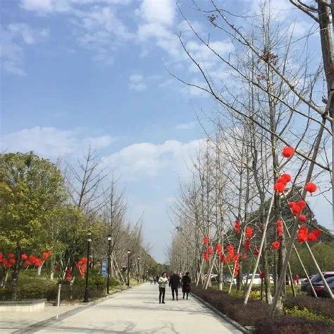 【文明旅游】文明出游为美丽风景增色游客市民天气