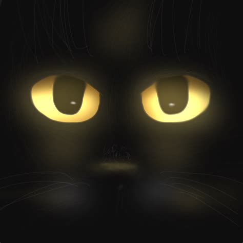 Animal Glowing Eyes In The Dark