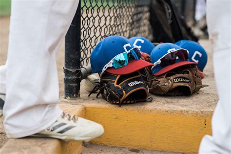 Crabs Smash Potters And A Record News Blog