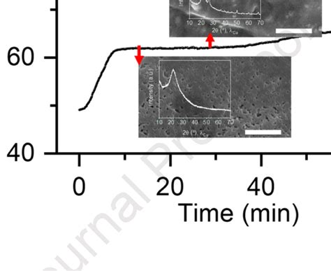 Timely Evolution Of The Relative Density Microstructure And Phase Download Scientific Diagram