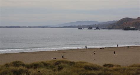 Dillon Beach In Dillon Beach Ca California Beaches