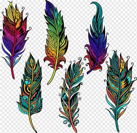 Colorful Feather Drawing