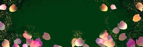 아름답게 춤추는 피에르 드 론사드 장미 꽃잎의 수채화 손으로 그린 넓은 크기 삽화 배경 주제에 대한 스톡 벡터 아트 및 기타