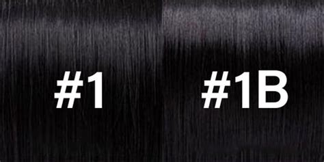 1 Color Vs 1b Color Vs 2 Color What Is The Difference Modern Show Hair