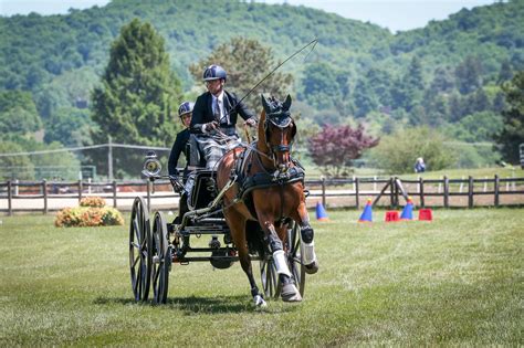 Mirko Cassotti Unika