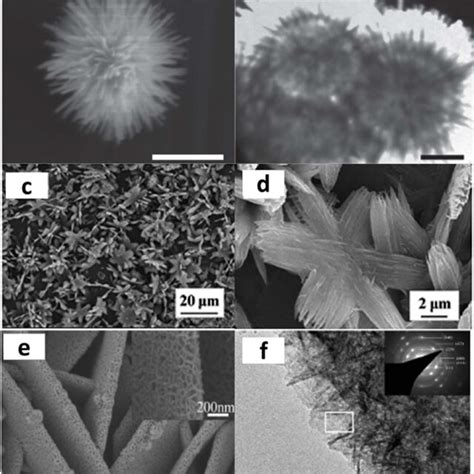 Typical Structural Characteristics Of Other Hierarchical Nanostructures Download Scientific