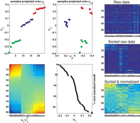 Optimal Array Partitioning Obtained By The 1st Singular Vectors Of The