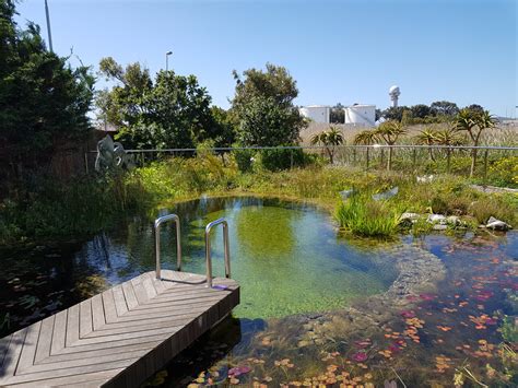 Natural Swimming Pools That Work