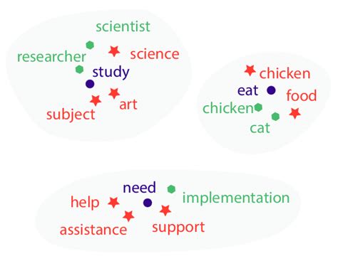 Illustration Of Three Neighbourhoods In A Function Specific Space