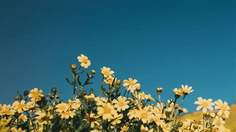 SQL문제풀기 Weather Observation Station silver SQL문제풀기 Weather Observation Station silver