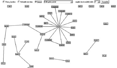 Java Applet For Visualization Of Proteinprotein Interactions Download Scientific Diagram