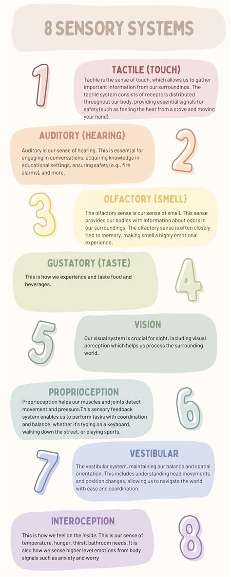 System Sensory System