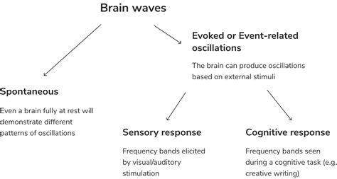 Basics Of Neural Oscillations Emotiv