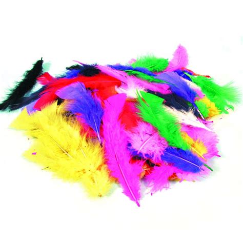 Assorted Craft Feathers Eduspace Supplies