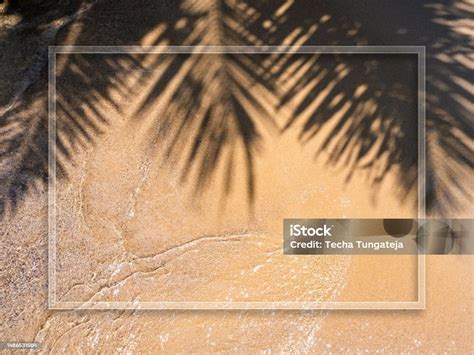 잔잔한 해변 장면의 흰색 선 프레임 맑은 바닷물의 움직임 코코넛 야자수 잎의 부드러운 파도와 그림자는 화창한 날에 깨끗한 모래 해변에 놓여 있습니다 여름 방학 휴가