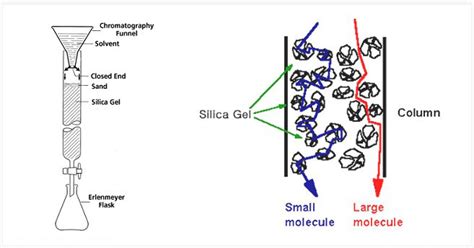 Journals And Conferences On Chemical Engineering Introduction Of In Silico Chromatography