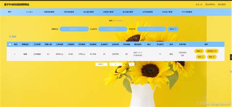 【开题报告】springboot基于bs的校园招聘网站u3o9e计算机毕设 Csdn博客