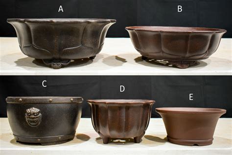 Bonsai Pots Usa At Brianna Fornachon Blog