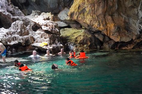 보홀 고래상어 투어 가격 현지 업체 예약으로 편안하게 네이버 블로그 보홀 고래상어 투어 가격 현지 업체 예약으로 편안하게 네이버 블로그