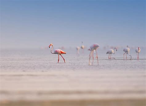 Is Sex Before Marriage Common In India R Askindia