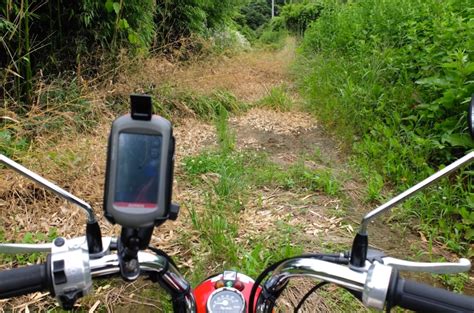 兎久保池茨城県行方 水辺遍路