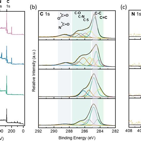 A XPS Survey Spectra Of The SPE Through Each Step Of The Fabrication Download Scientific