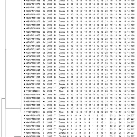 Mlst Clustering Tree Of S Flexneri Isolates Isolated From 2014 To 2016 Download Scientific
