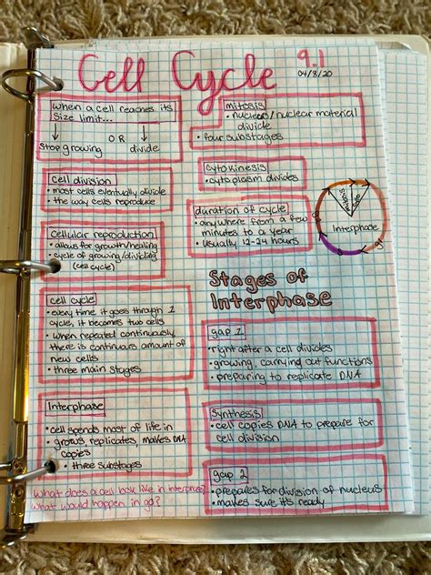 Cell Cycle Notes Biochemistry Notes Cell Biology Notes Study Flashcards
