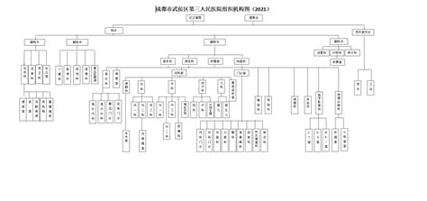 组织架构 成都市武侯区第三人民医院